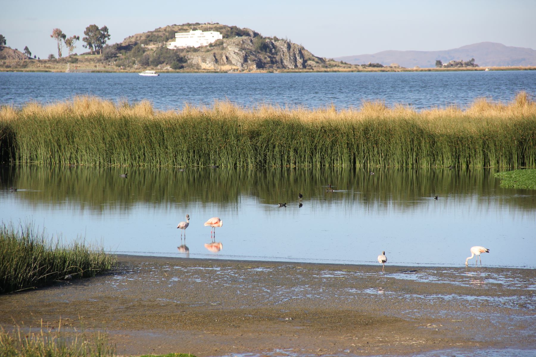 BAIXO NÍVEL DO LAGO TITICACA PREOCUPA COMUNIDADES NA BOLÍVIA E NO PERU ...