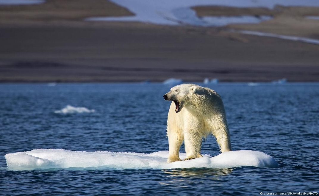 SIBÉRIA 40 GRAUS, OU ERA UMA VEZ “SKAVURSKA” | ÁGUA, VIDA & CIA ...